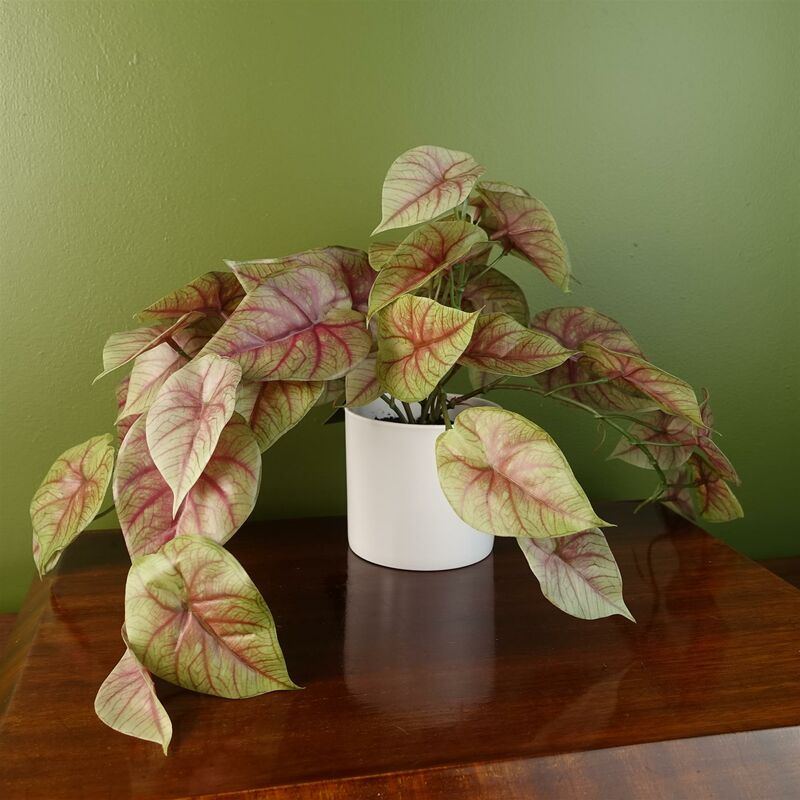 30cm Artificial Pink Caladium Potted Trailing Plant Realistic - Garden ...