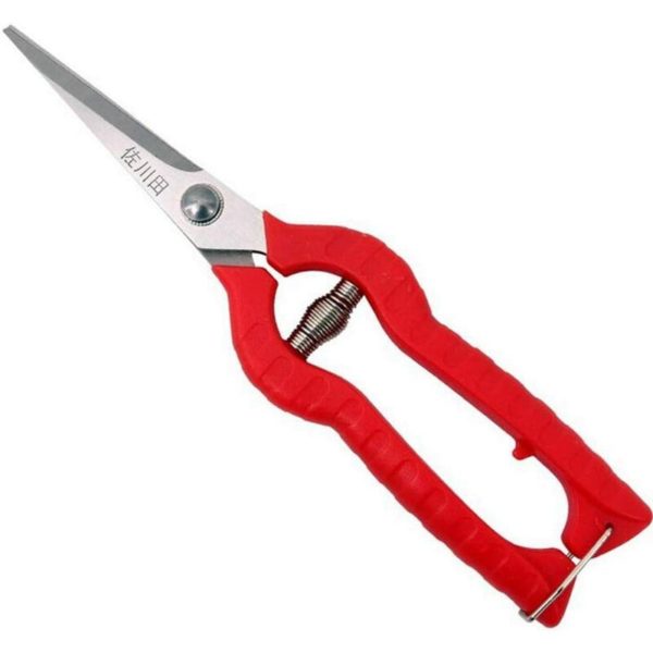 Professional Stainless Steel Straight Blade Secateurs for Flower ...