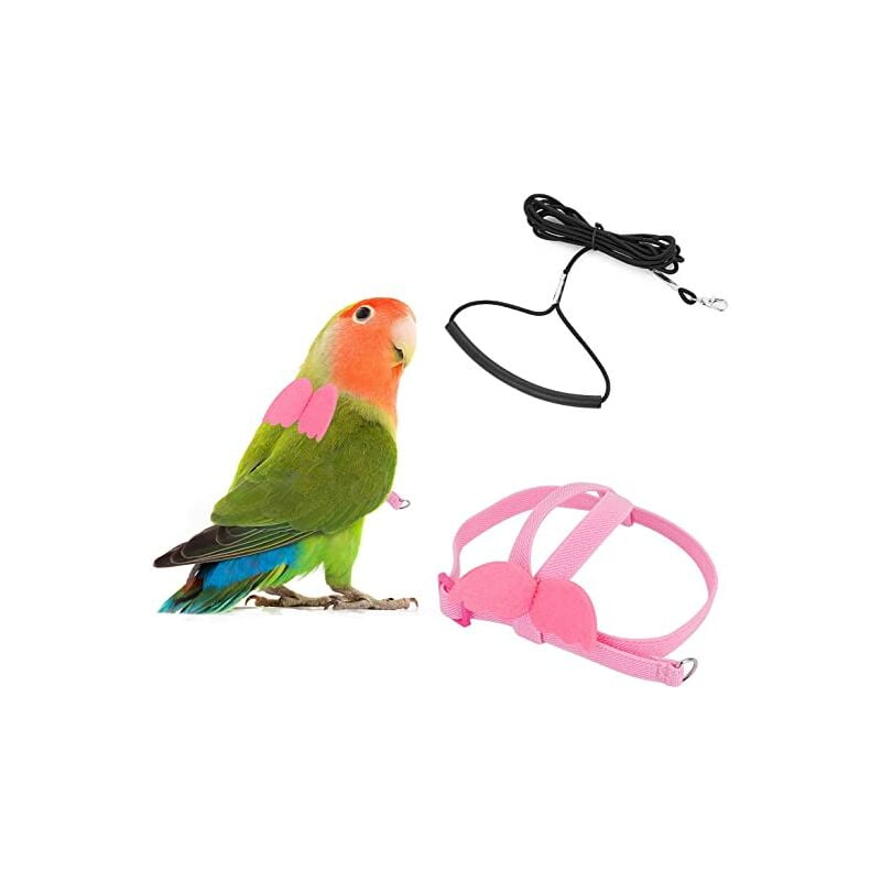 Rope Flight Training Adjust Nylon Rope Bird Harness and Pet Harness ...